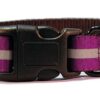 Color Pet Products – Color Pet Products