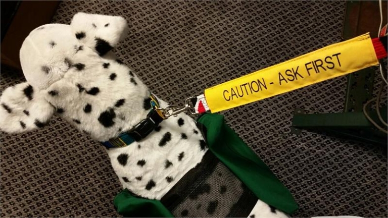 Color Pet Products – Color Pet Products